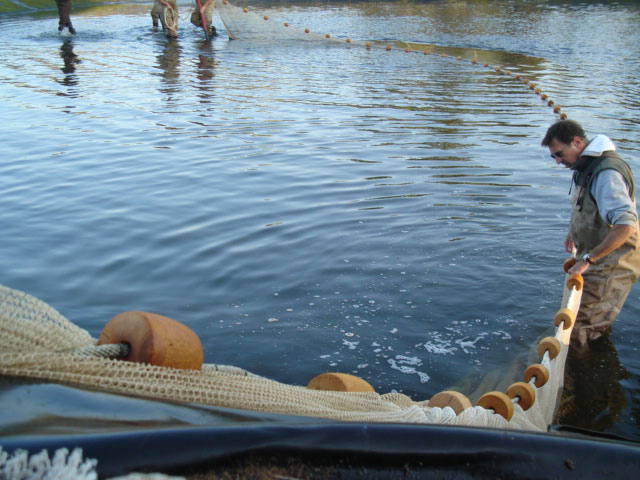 How We Grow Fish - Spooner Hatchery